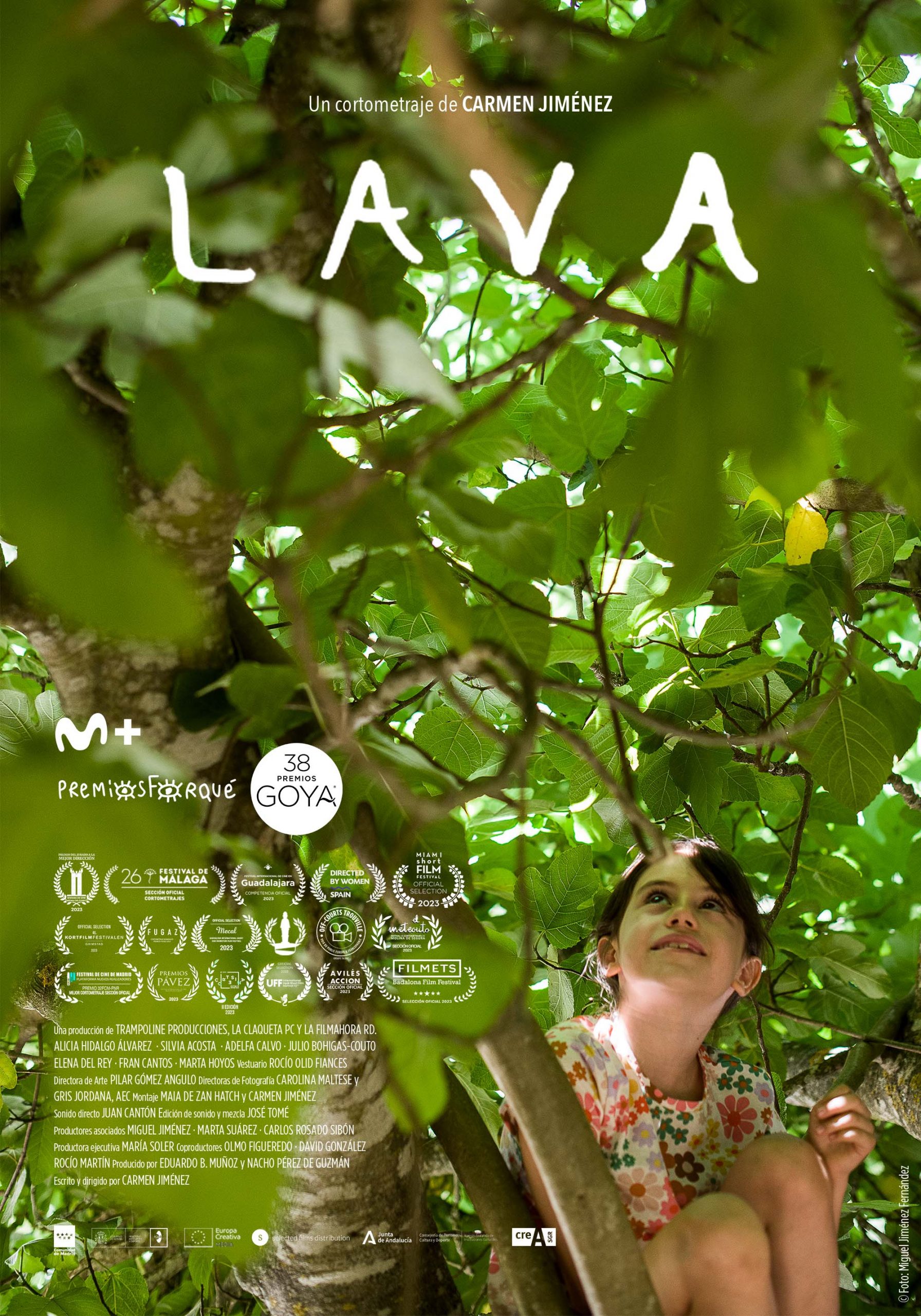 Lava » Academia de cine