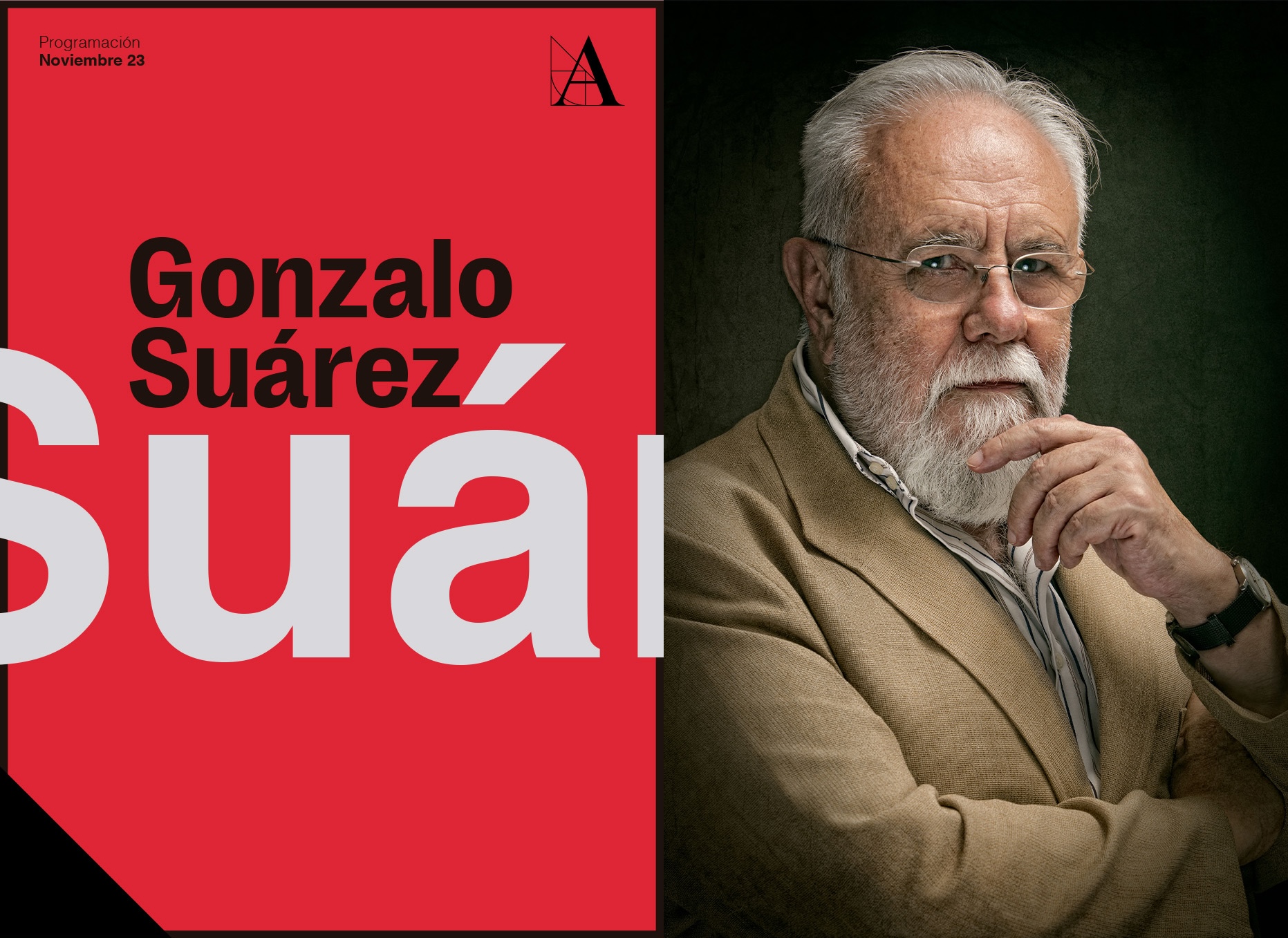 Gonzalo Suárez, homenajeado en la Academia en noviembre » Academia de cine