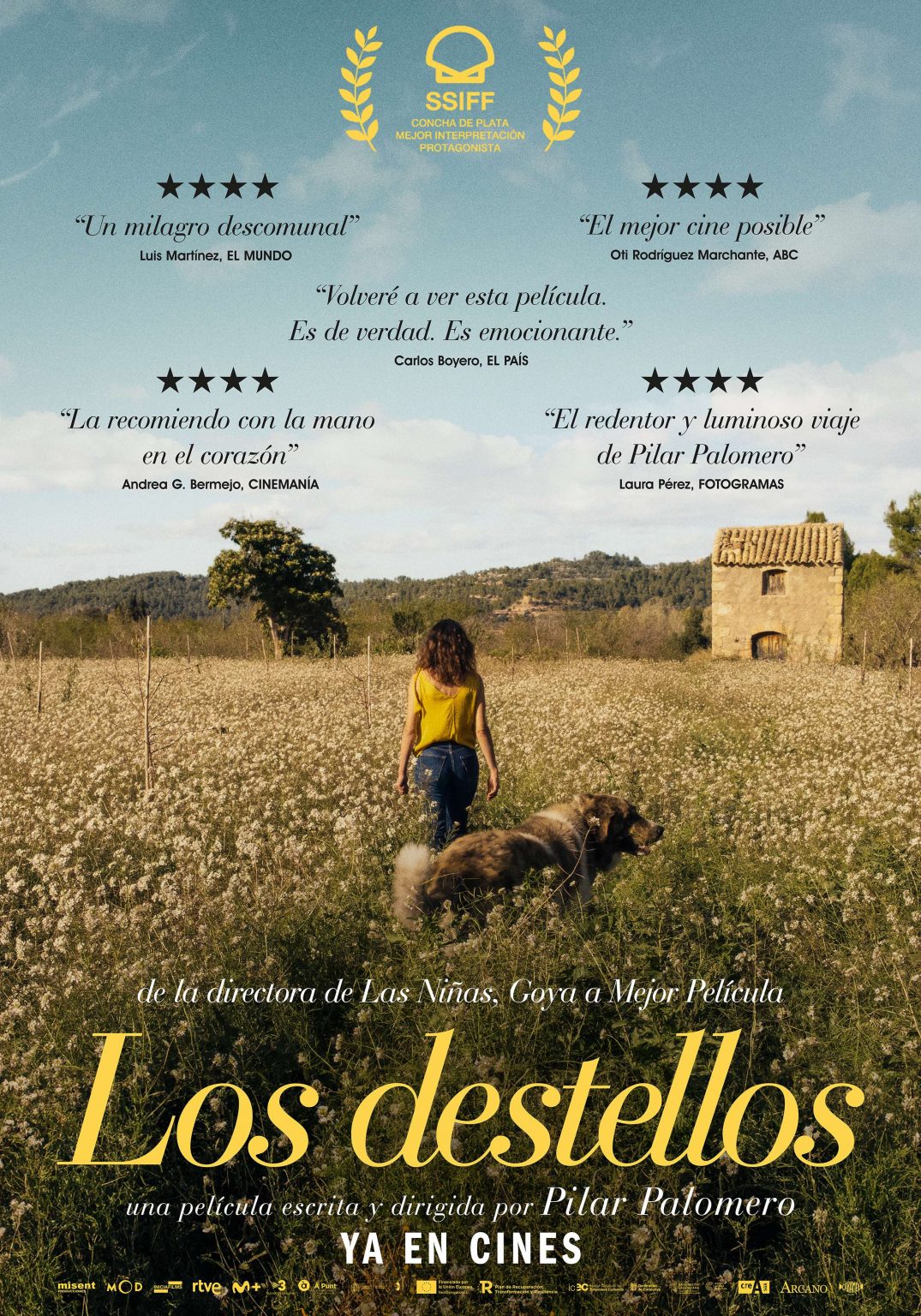 Los destellos » Academia de cine