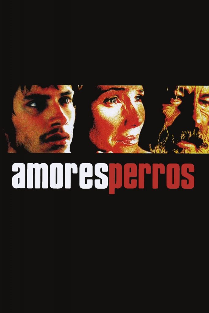 25 años de… «Amores perros» » Academia de cine